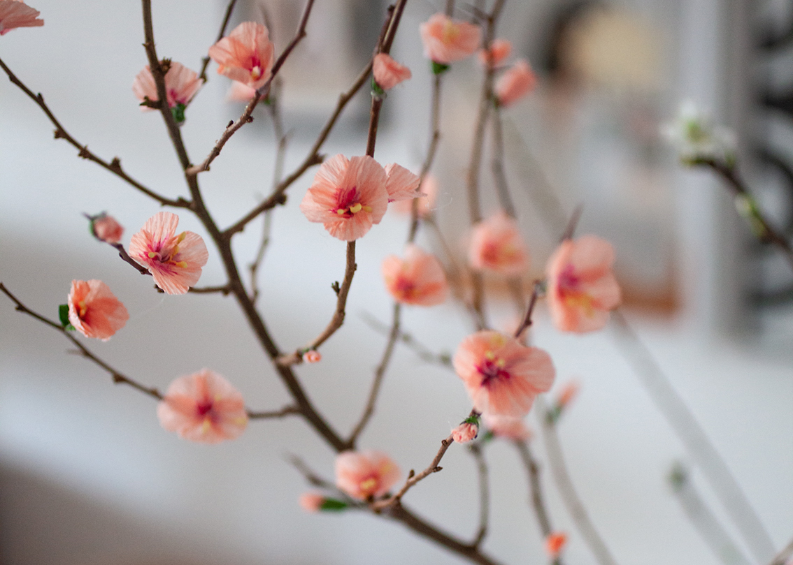 Quitte, bitte! Der ewige Ast! - makajumy.de